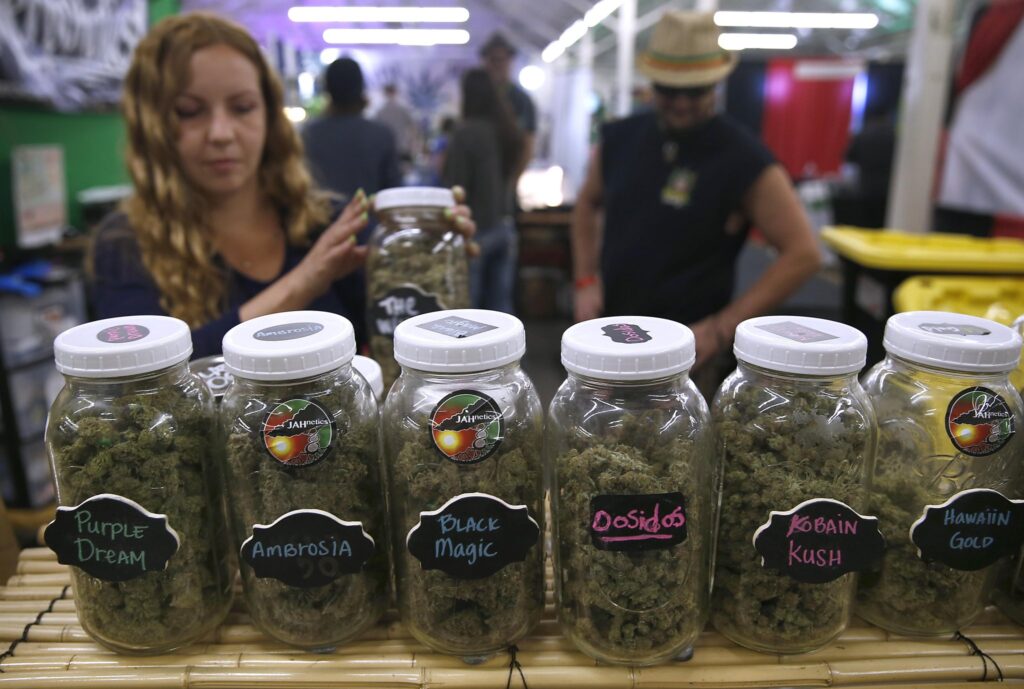 Challenges Facing by Cannabis Dispensary Businesses - Plants Magazine