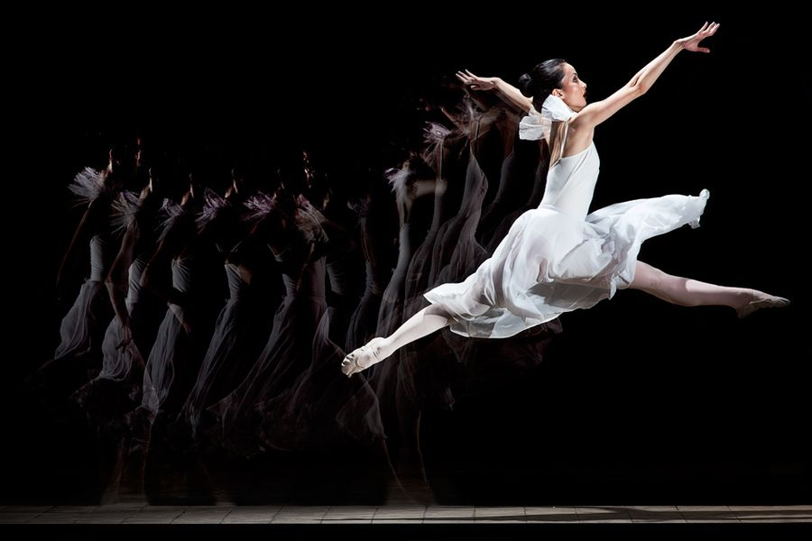 Ballroom Dances: The Art and Elegance of Rhythmic Movement - Plants ...